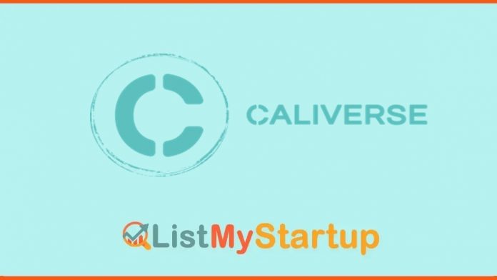 Caliverse Success Story: Creating Calisthenics Fitness
